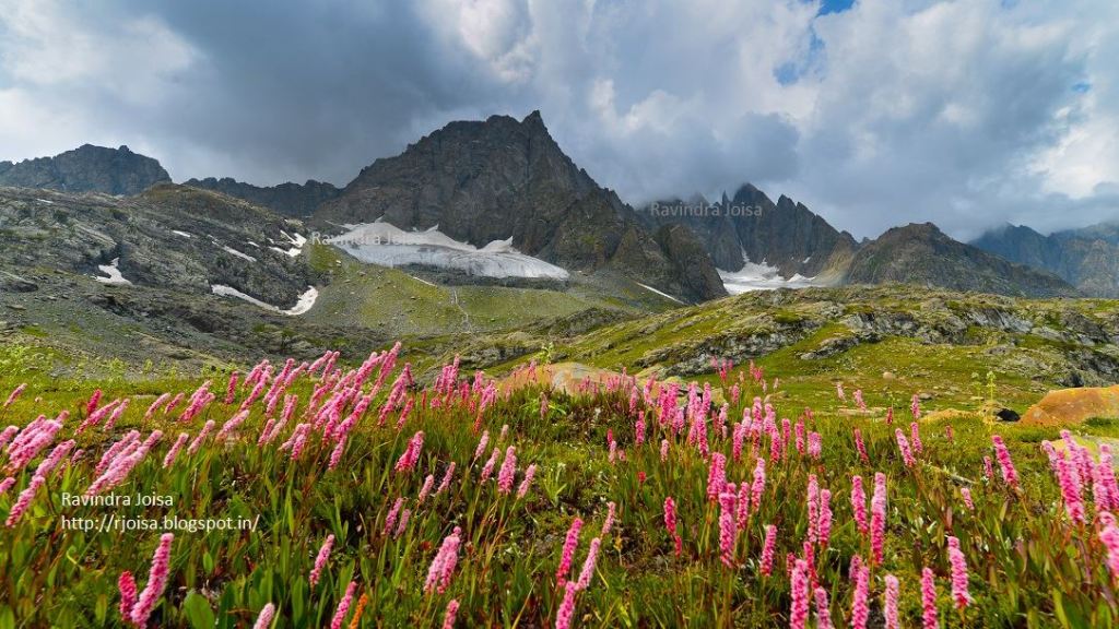 Trek to Vishnusar lake, the most beautiful Alpine lake - Day 3 ...