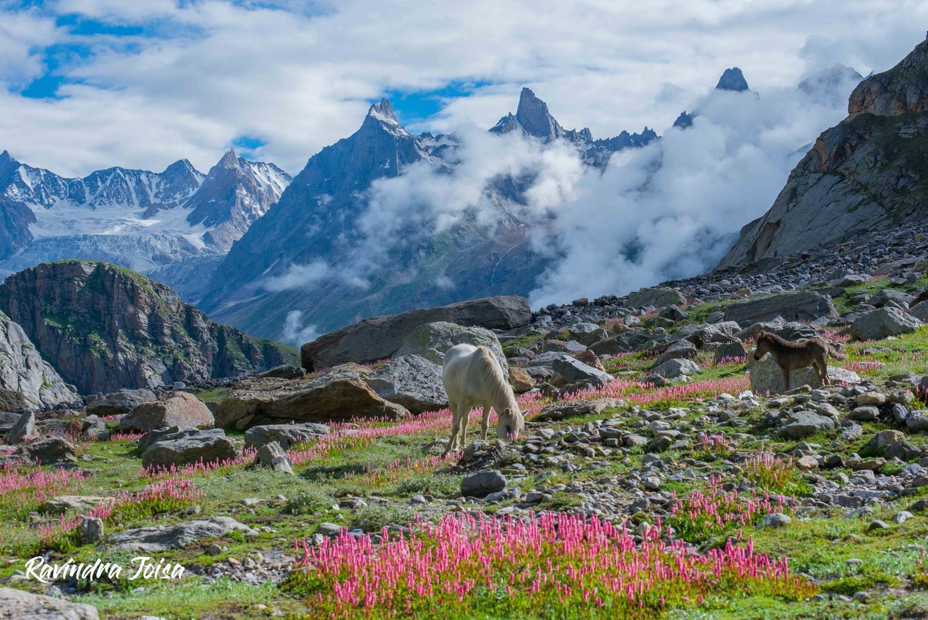 Shea Goru via Hampta Pass with a stunning view of Mt Indrasan | Day 4 ...