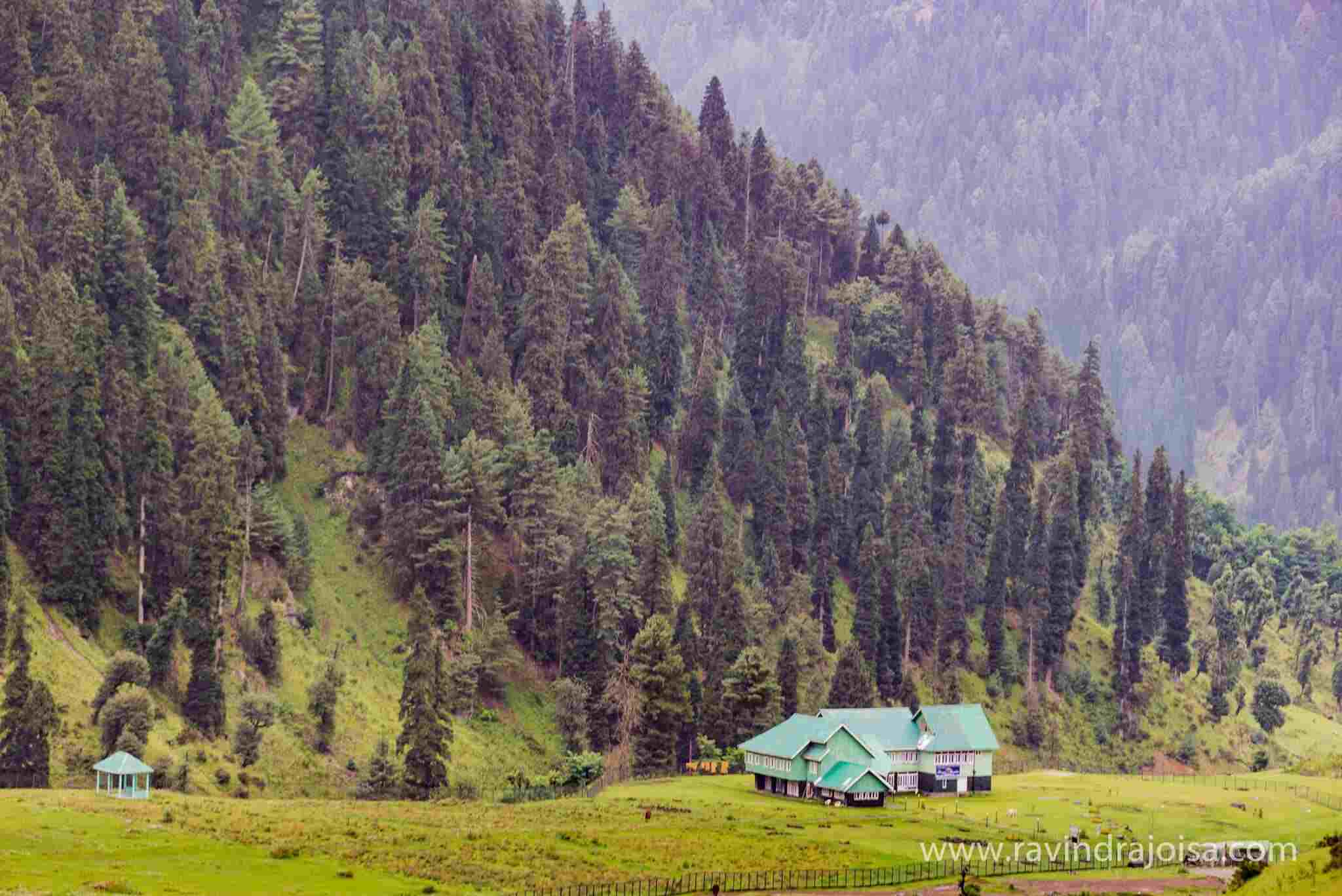 Srinagar to Aru | Drive to Paradise | Tarsar Trek | Day 1 - Ravindra Joisa