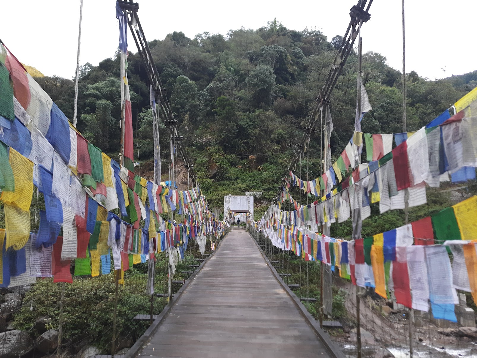 Sandakphu Trek | An adventurous 7 days hike with spectacular views